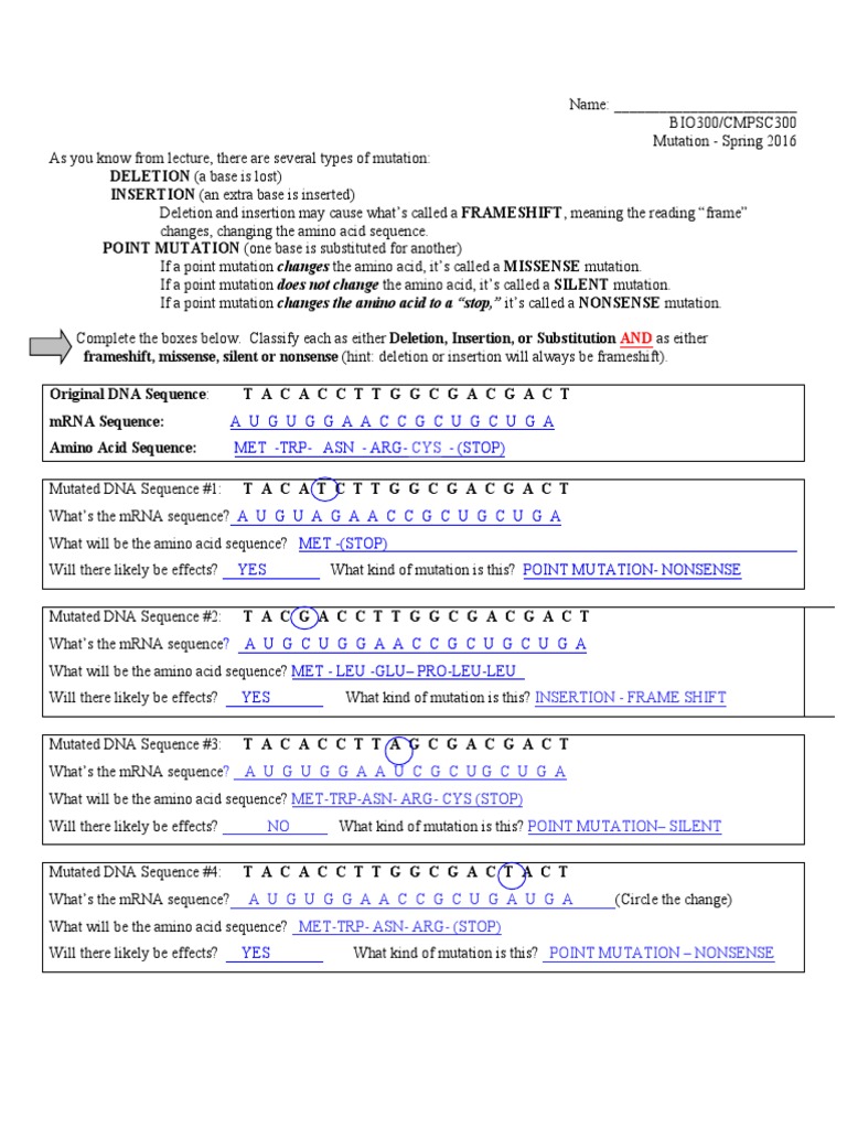 Mutation Types and Effects Worksheet | PDF | Genetic Code | Point Mutation