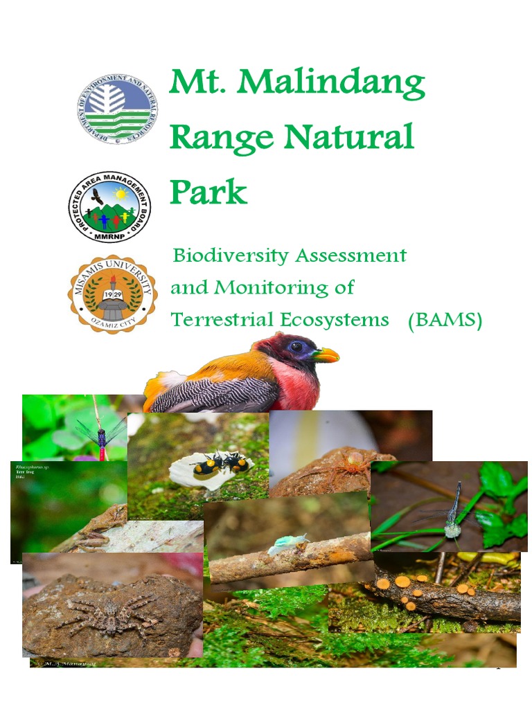 BAMS for Mt. Malindang Biodiversity Assessment | PDF | Insects ...