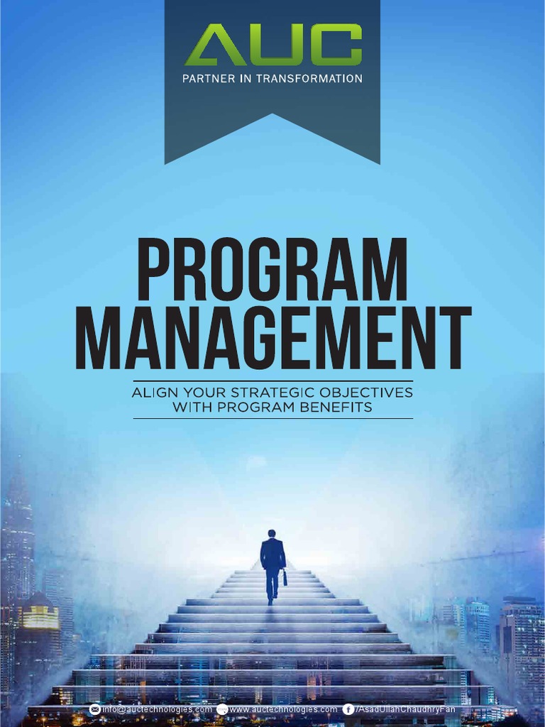 Program Management | PDF | Governance | Design