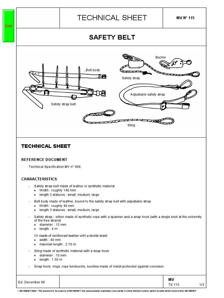Technical Sheet: Safety Belt | PDF | Rope | Manufactured Goods