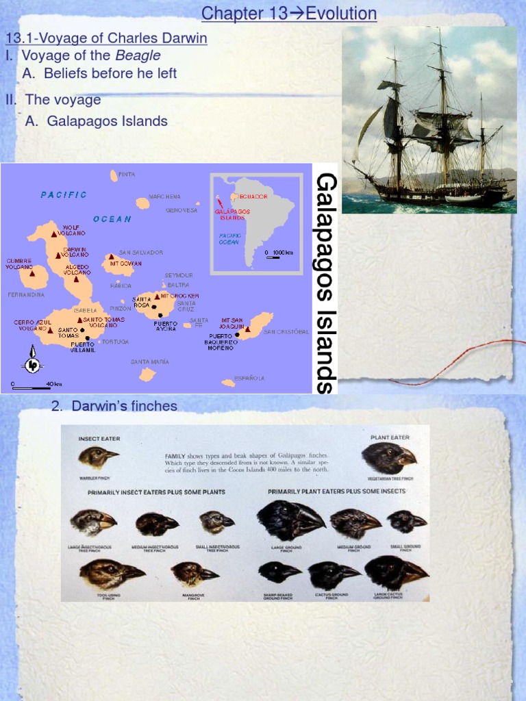 13.1-Voyage of Charles Darwin I. Voyage of The Beagle A. Beliefs Before ...