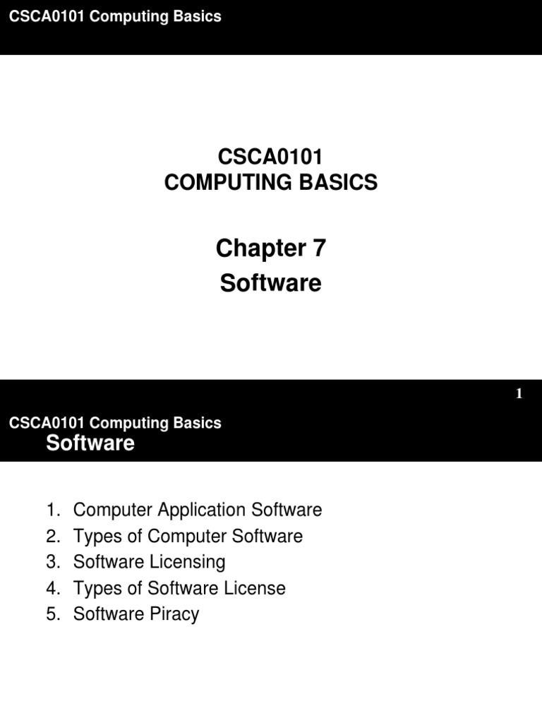 Computing Basic | PDF | Copyright Infringement | Spreadsheet