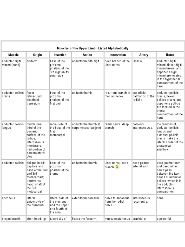 Muscles of The Upper Limb - Listed Alphabetically Muscle Origin ...