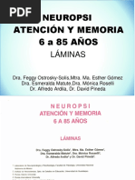 Manual Neuropsi Breve Completo | PDF | Memoria | Atención