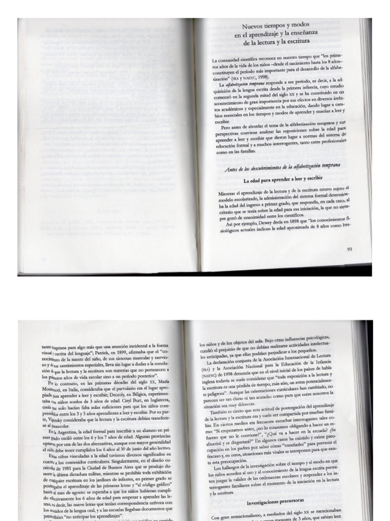 Braslavsky, ¿Primeras Letras o Primeras Lecturas | PDF | Aprendizaje | Modificación de ...