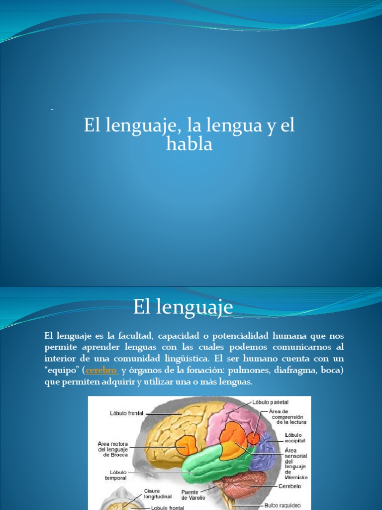 Lenguaje, lengua y habla: conceptos clave | PDF | Habla | Lingüística
