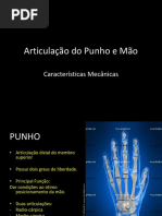 Aula 6 Ossos, Músculos, Inervação e Vascularização Do Punho e Mão | PDF ...