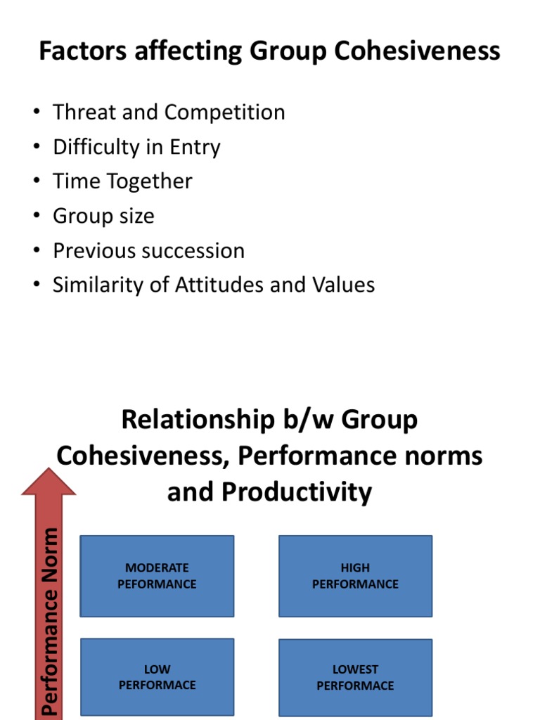 OB - Group Cohesiveness | PDF