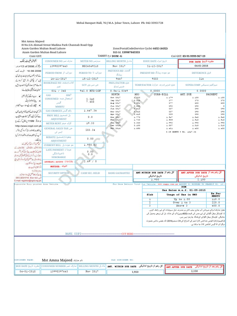 Consumer Bill - SNGPL (1) | Payments | Taxes