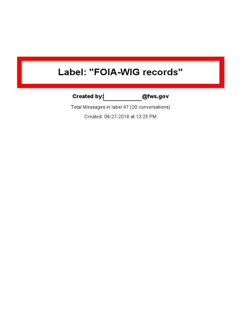 Email: Our Wildly Important Goal (WIG) - Leopoldo Miranda | PDF ...