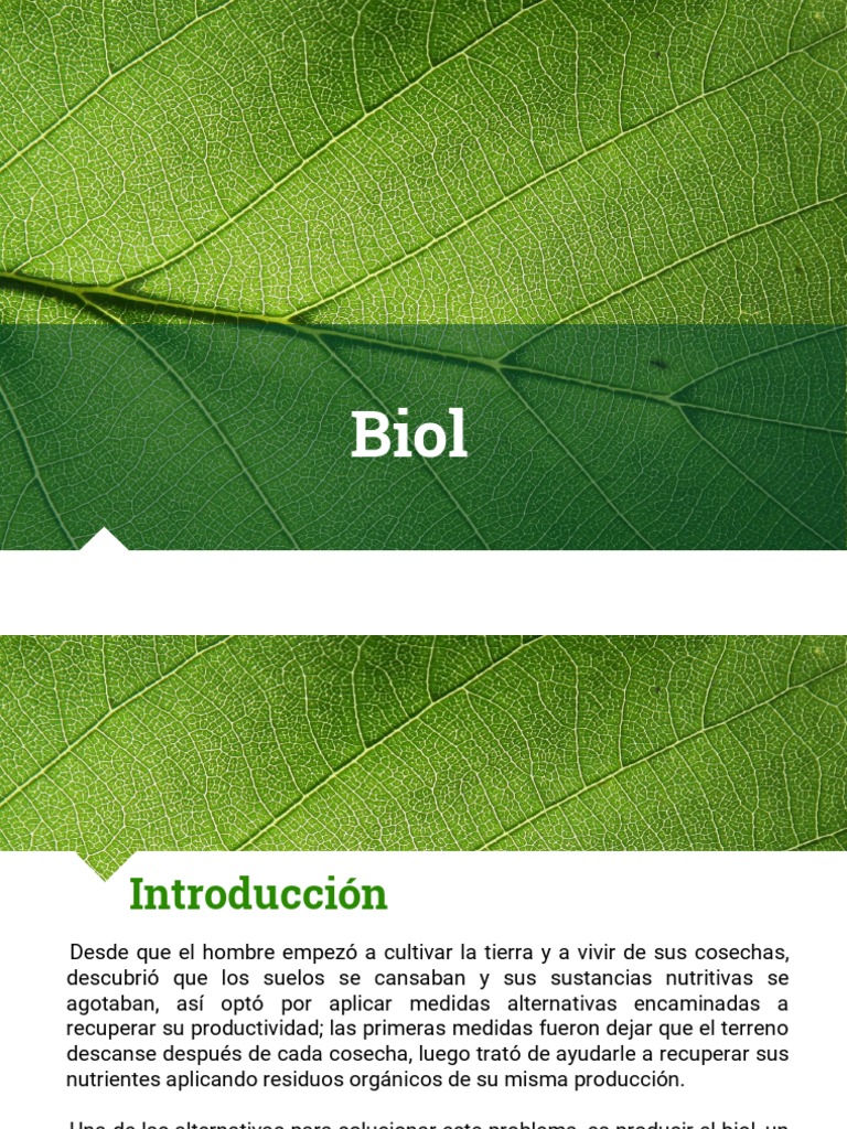 Biol: Fertilizante Orgánico Casero | PDF | Fertilizante | Suelo