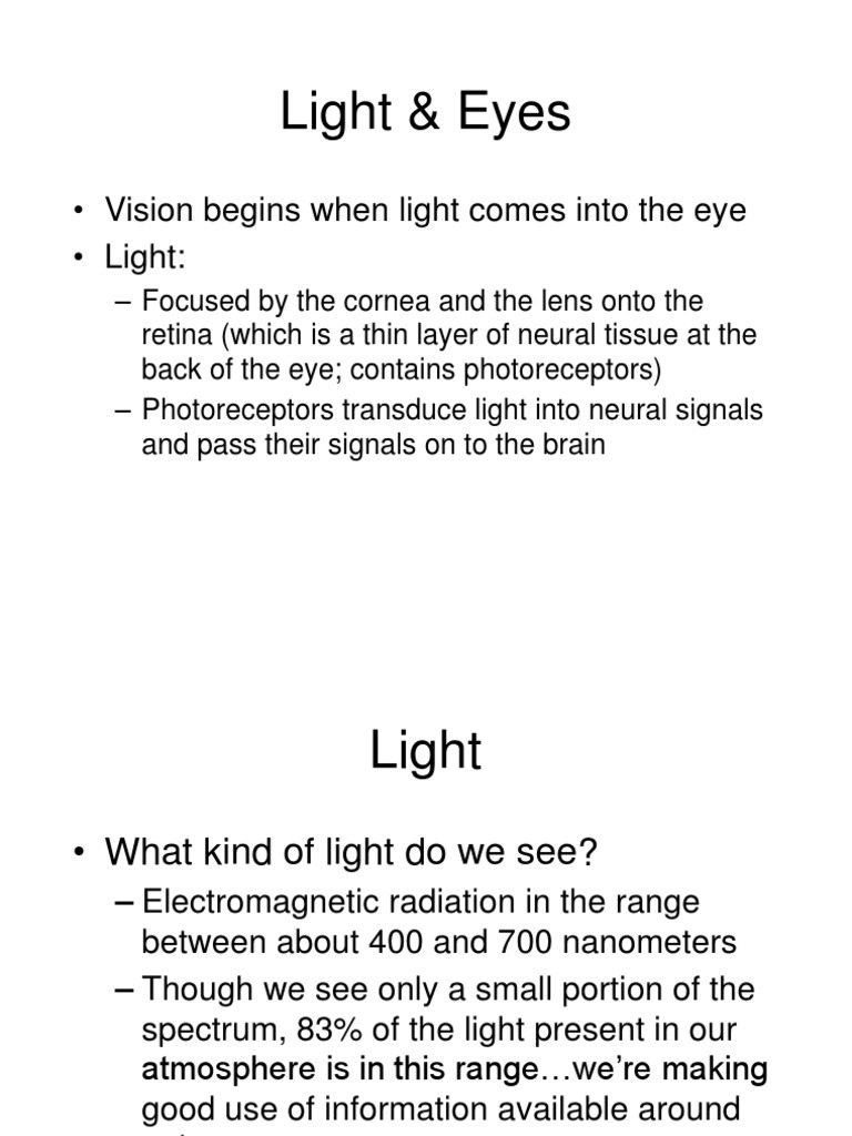 Light & Eyes: - Vision Begins When Light Comes Into The Eye - Light ...