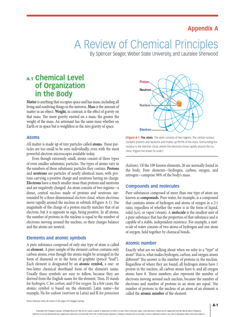 A Review of Chemical Principles | PDF | Ion | Chemical Polarity