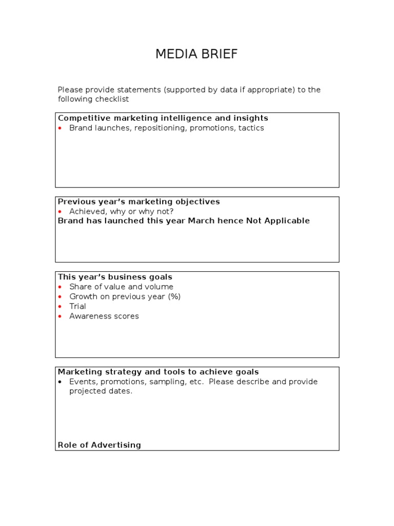Media Brief: Marketing Strategy Overview | PDF