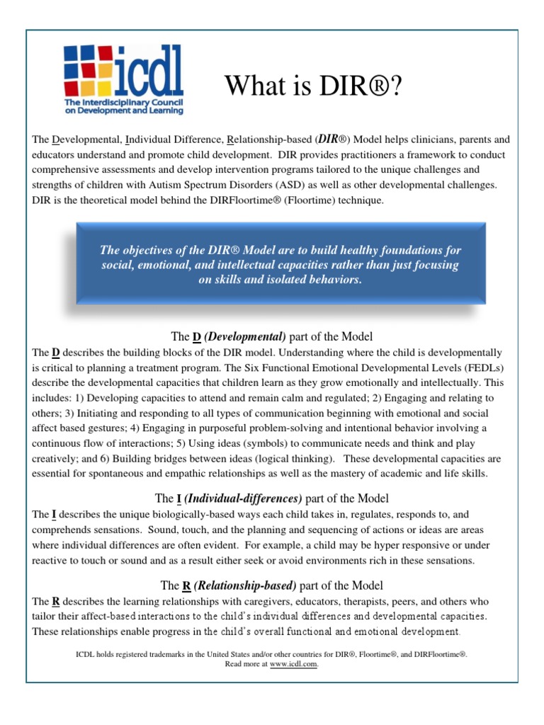 What Is DIR | PDF | Action (Philosophy) | Human Development