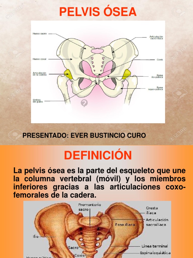 PELVIS ÓSEA.ppt