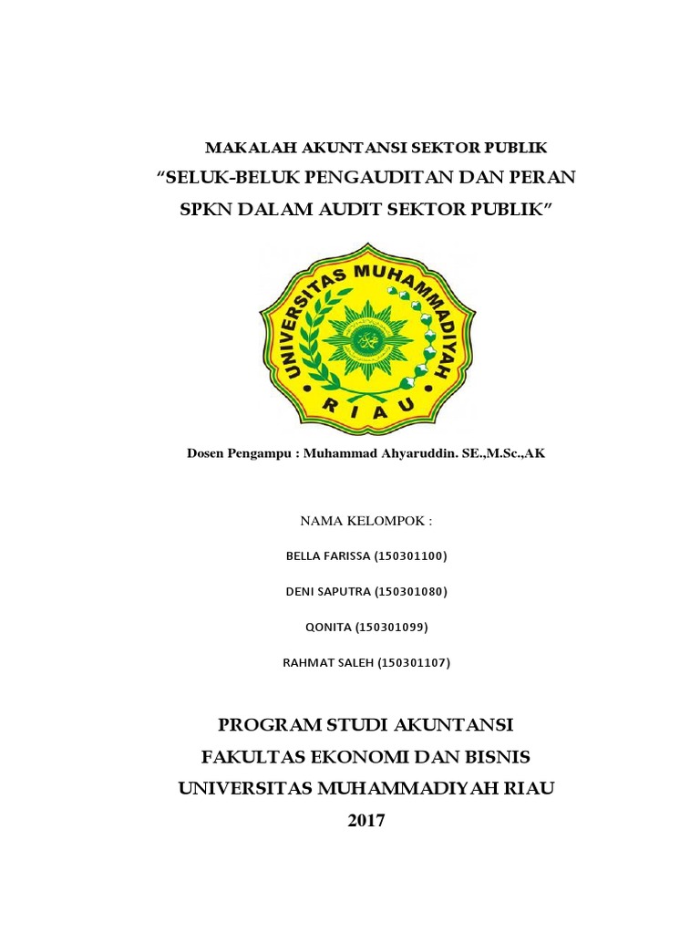 Audit Sektor Publik dan SPKN | PDF