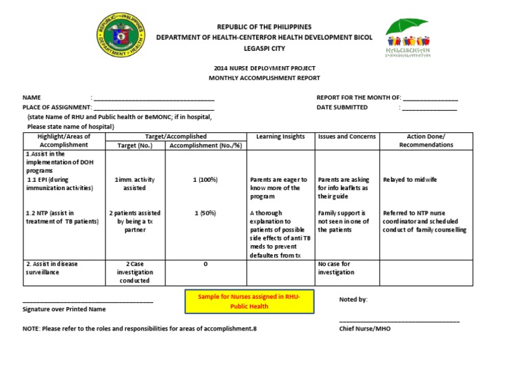 Monthly Report Form For NDP Edited 2 From PHT | PDF | Health Economics ...