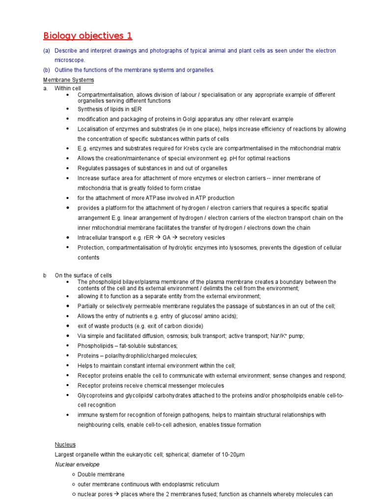 Biology Objectives | PDF | Meiosis | Active Site