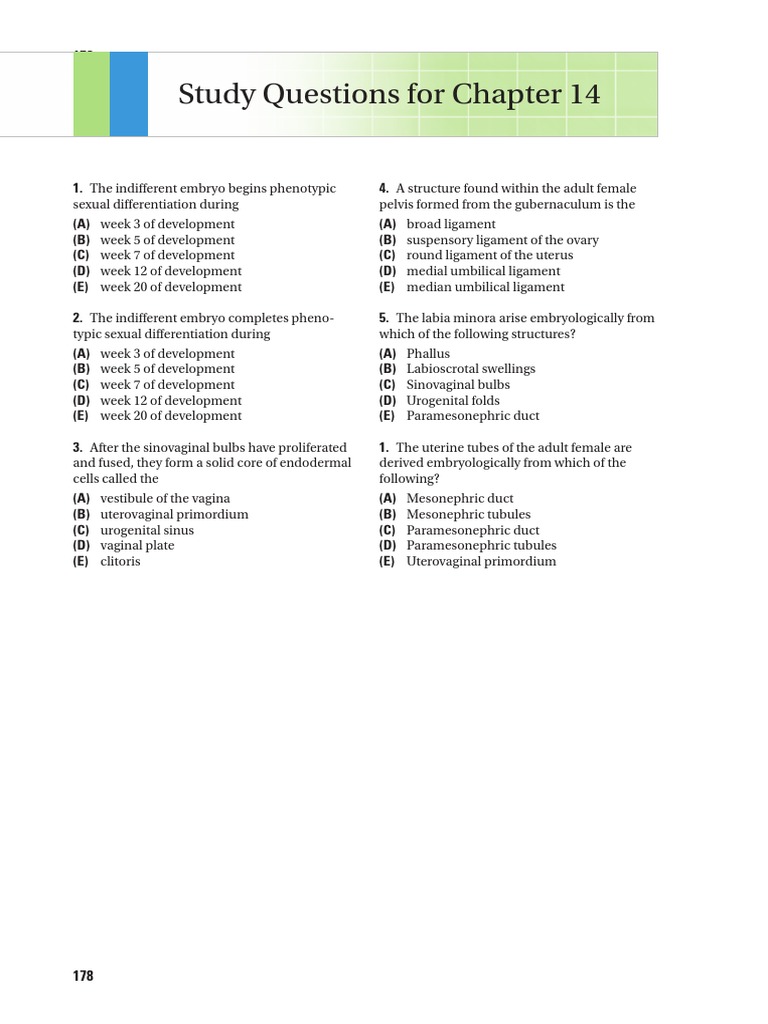 Study Questions For Chapter 14 | PDF | Uterus | Developmental Biology