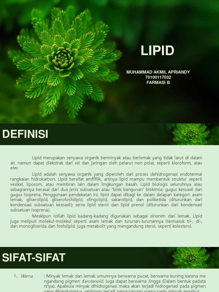Simplisia Lipid | PDF