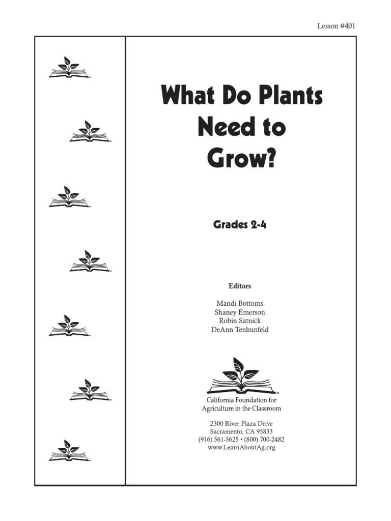 What Plants Need to Grow: Lesson 401 | PDF | Leaf | Root