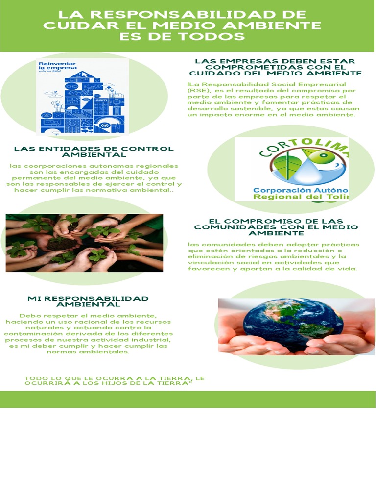 Infografia Medio Ambiente | PDF