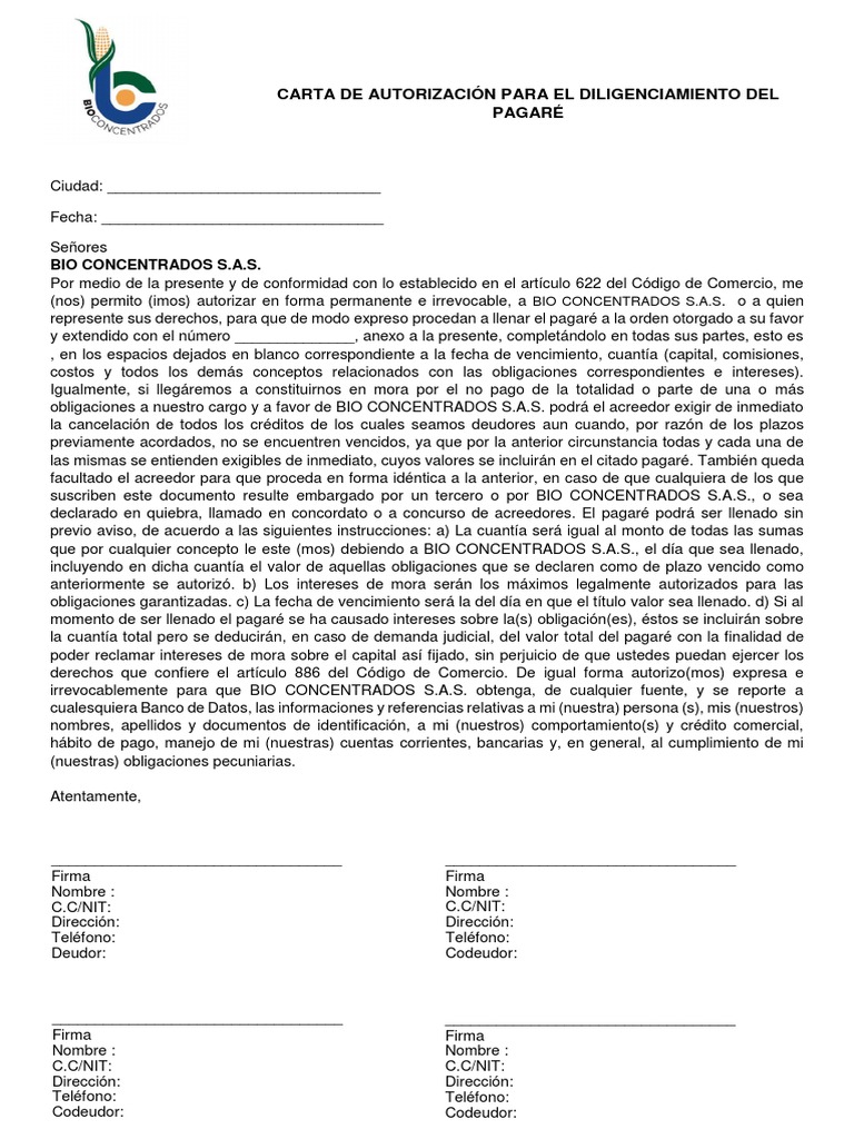 Carta de Instrucciones PAGARE | Pagos | Gobierno