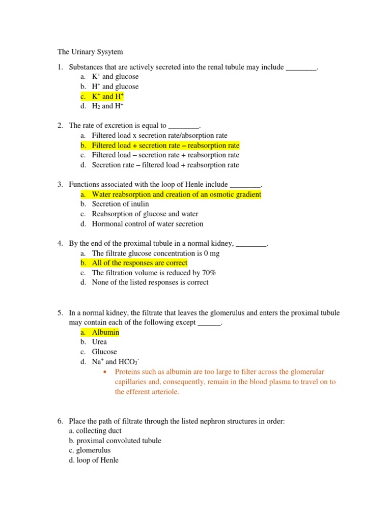 Physiology Dynamic Study Modules | PDF | Kidney | Respiratory Tract