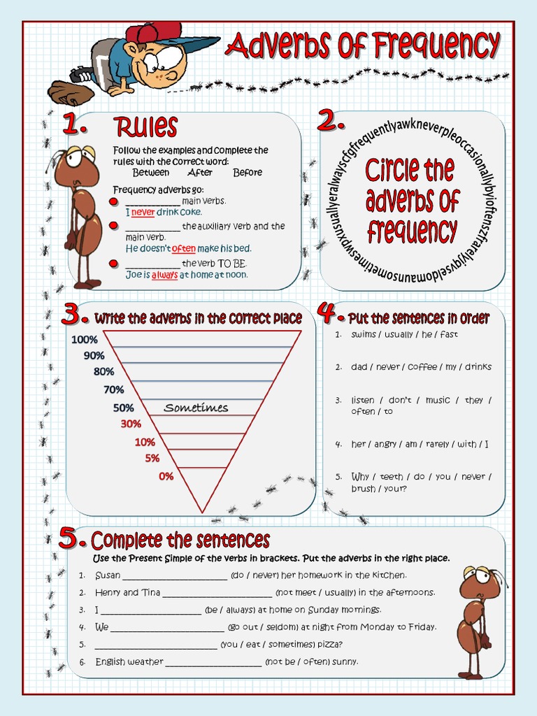 Adverbs of Frequency Grammar Drills Grammar Guides 90505 | PDF
