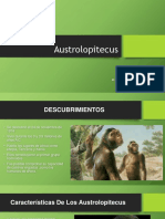Dryopithecus | PDF | Hominidae | Homo Sapiens