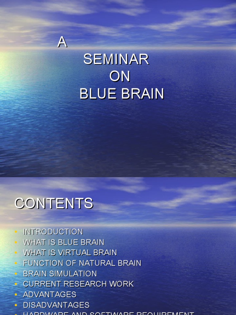 Seminar on Creating a Virtual Human Brain | PDF | Brain | Input/Output