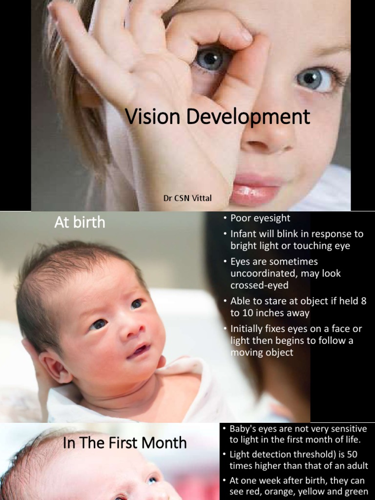Vision Development From Birth to 3 Years - A Guide to Your Baby's Eye ...