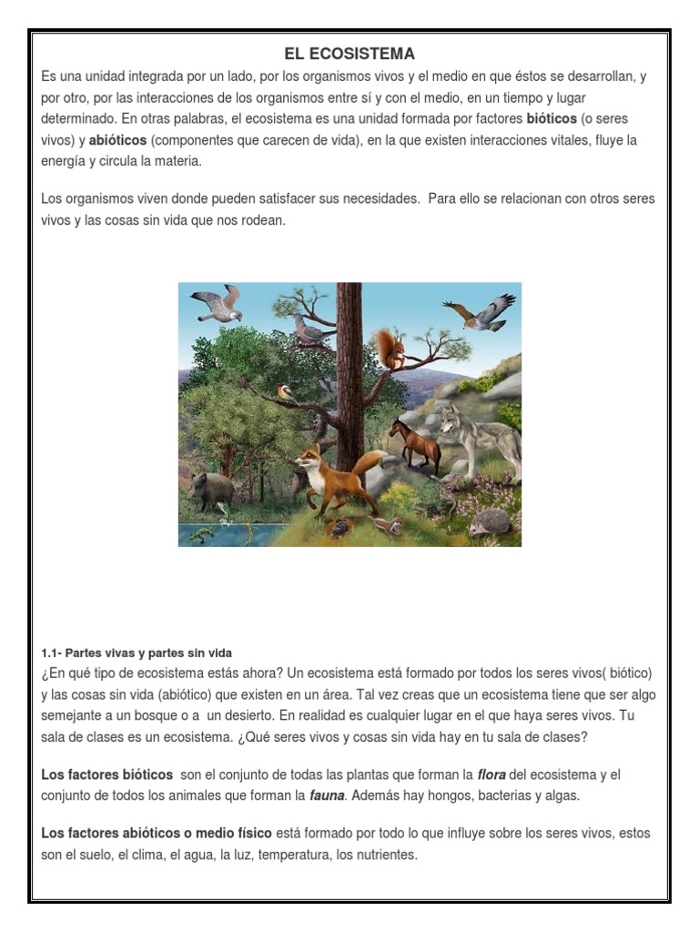 El Ecosistema | PDF | Ecosistema | Red alimentaria