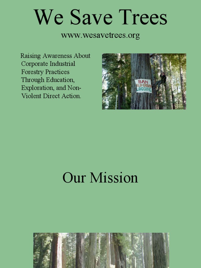 Raising Awareness About Corporate Industrial Forestry Practices Through ...