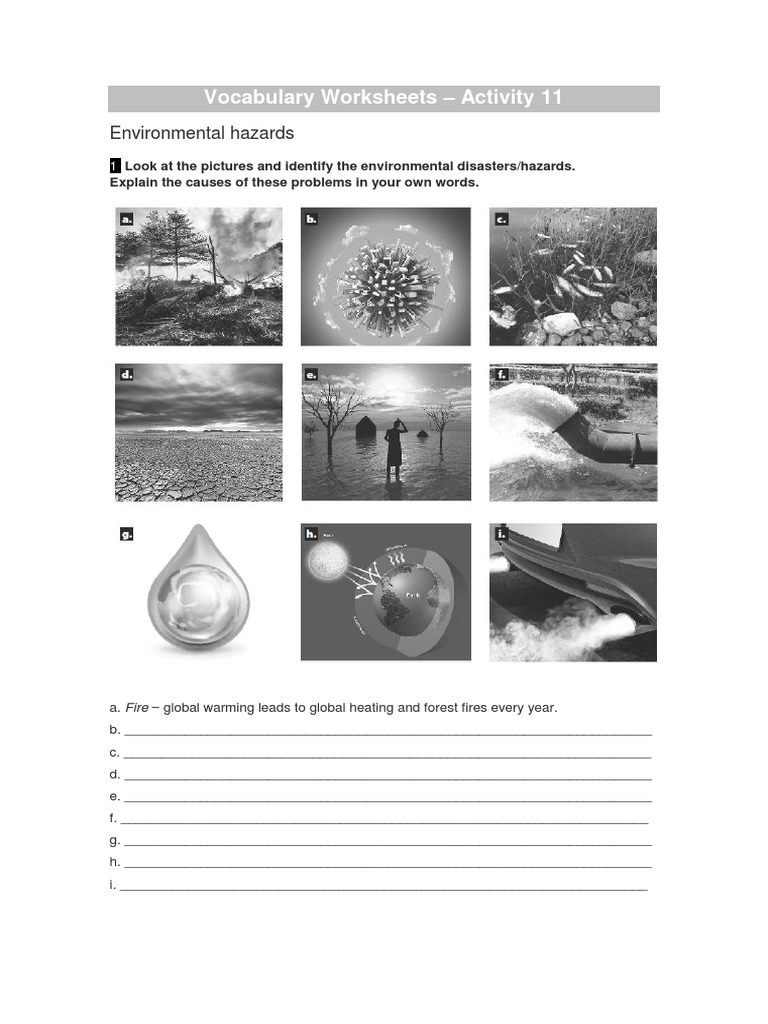 Understanding Environmental Hazards: Identifying Disasters and their ...