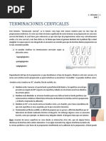 Líneas de Terminación | PDF | Dentadura postiza | Diente