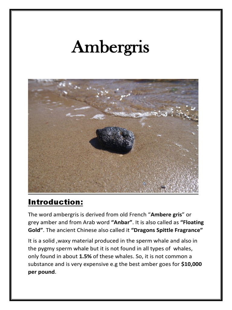 Ambergris | PDF | Nature