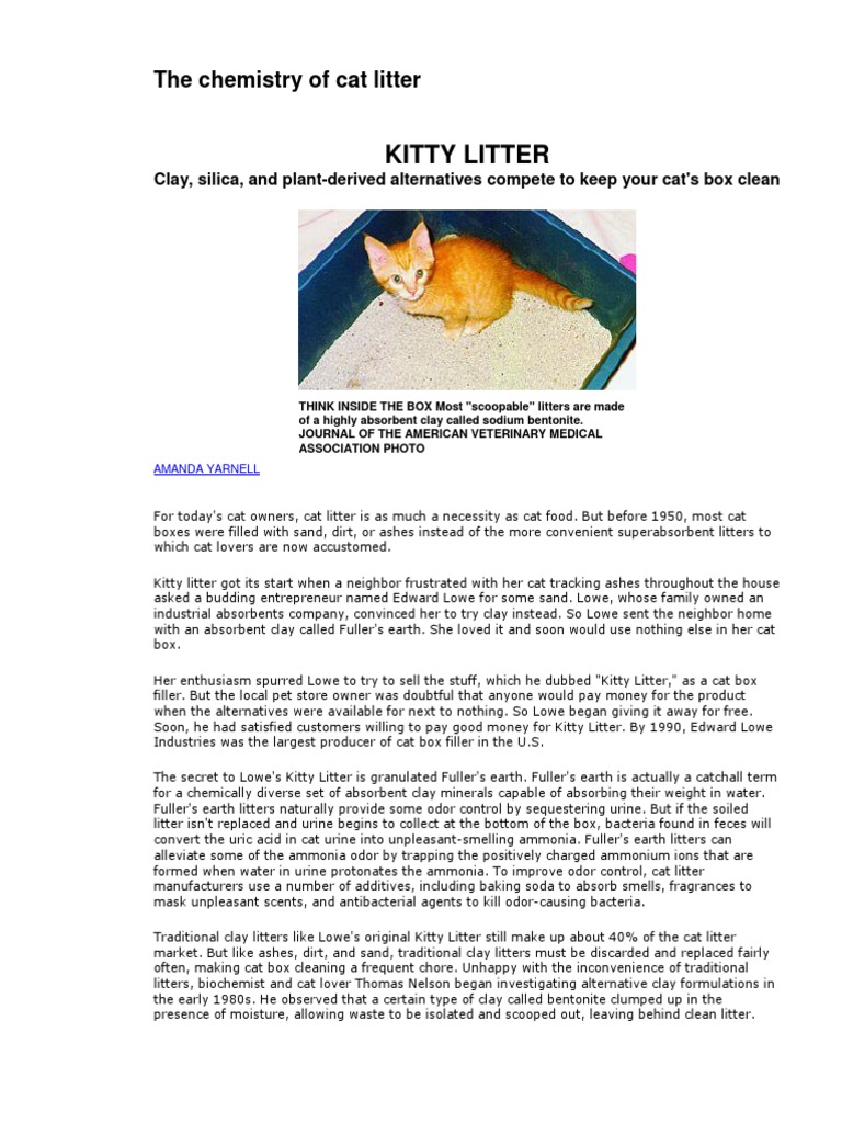The Chemistry of Cat Litter | PDF | Soil | Chemistry