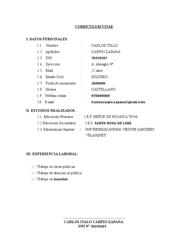 Curriculum Carlos | PDF