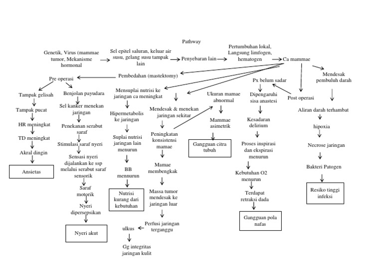 Pathway CA Mammae | PDF