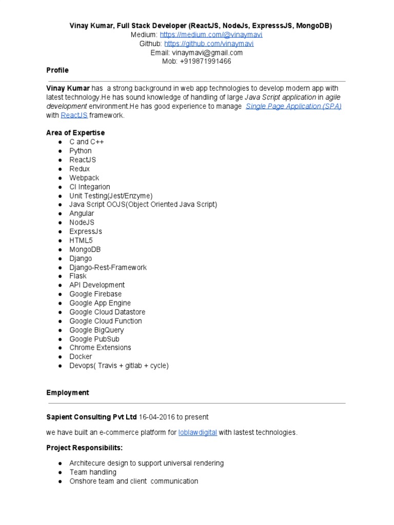 Profile Vinay Kumar: Development | PDF | Web Application | Software Engineering