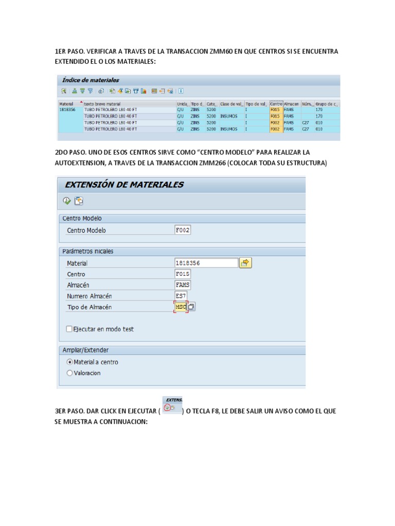 Proceso de Autoextensión ZMM60 y ZMM266 | PDF