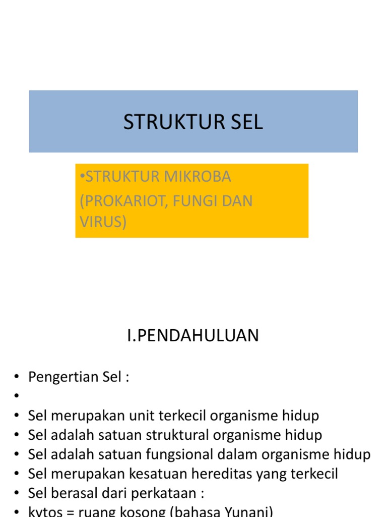 Struktur Sel Prokariot | PDF | Bacteria | Microorganism