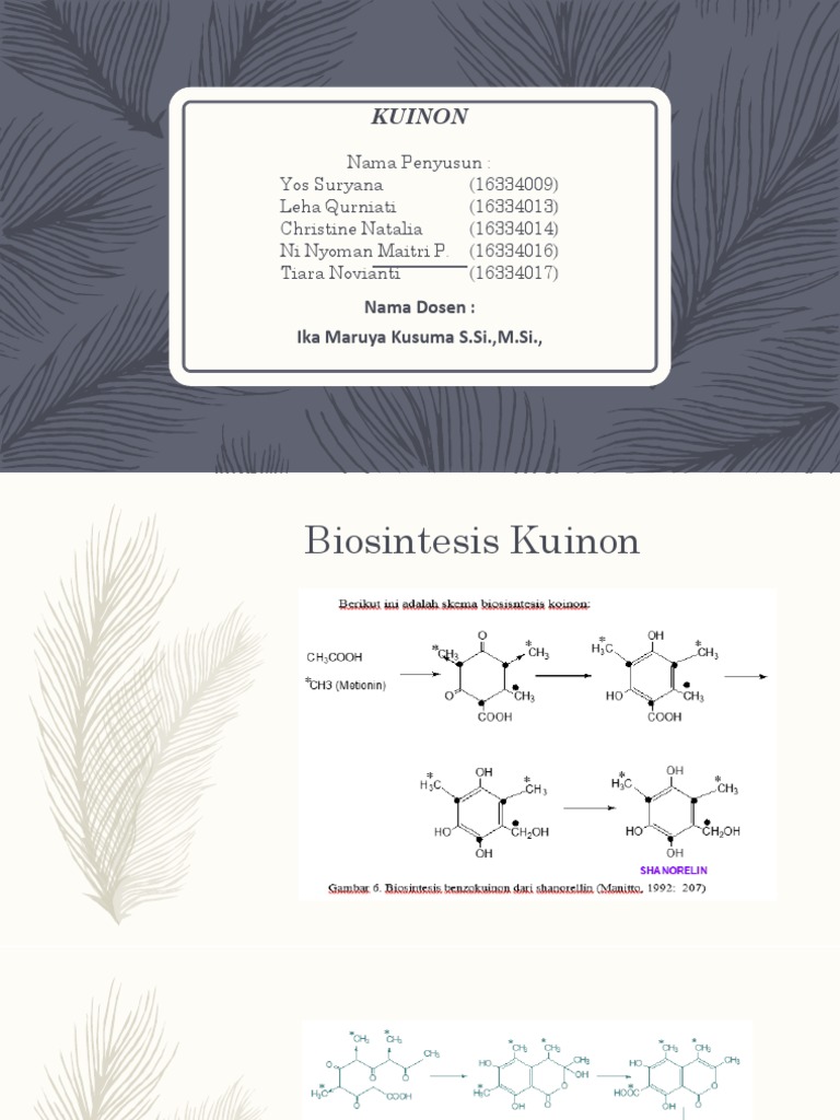 KUINON | PDF
