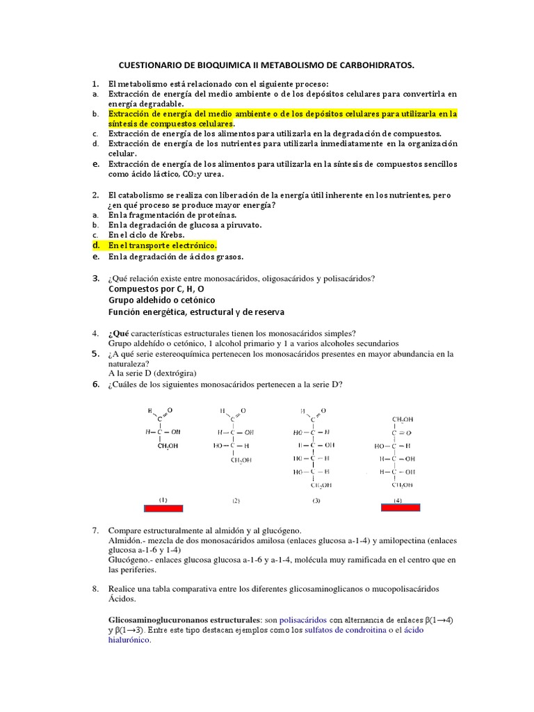 Cuestionario de Bioquimica 2 Carbohidratos y Lipidos | PDF | Glucógeno | Glucólisis