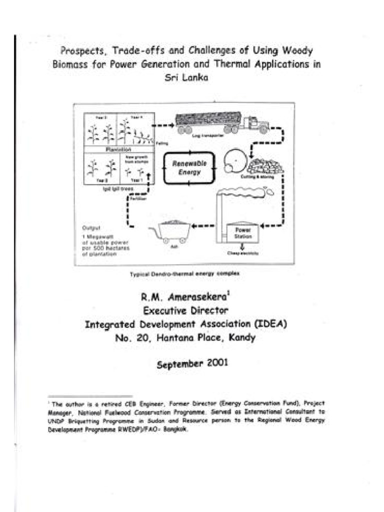 Dendro Thermal Power | PDF