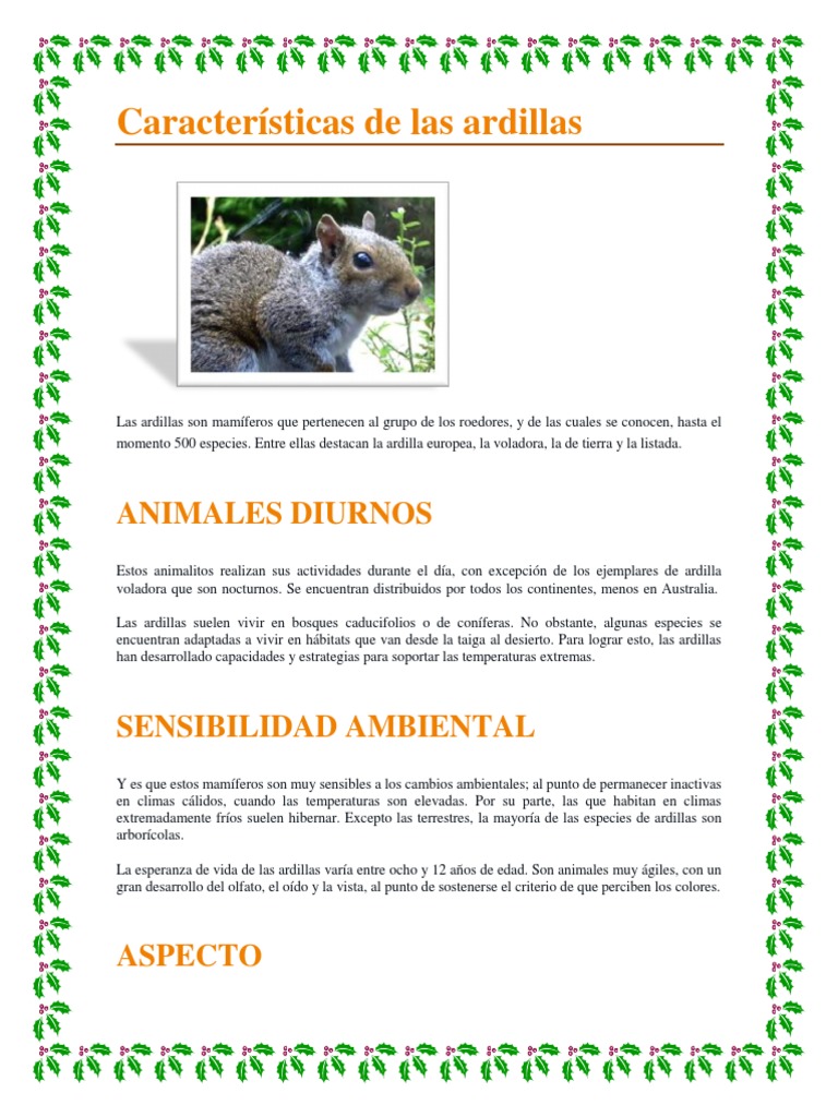 Características de Las Ardillas | PDF | Mamíferos | Roedor
