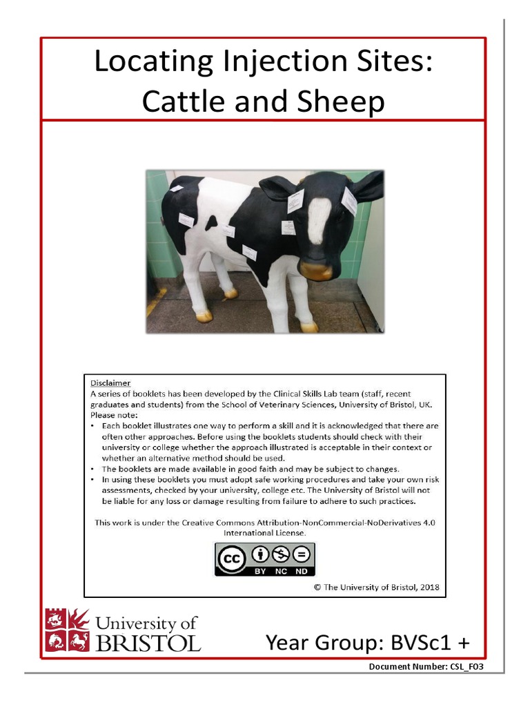 Locating Cattle and Sheep Injection Sites | PDF | Injection (Medicine ...