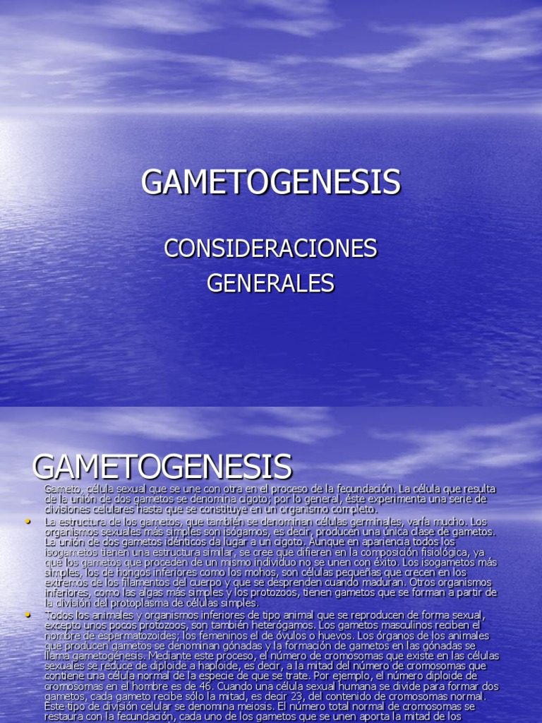 GAMETOGENESIS | PDF | Mitosis | Organismos